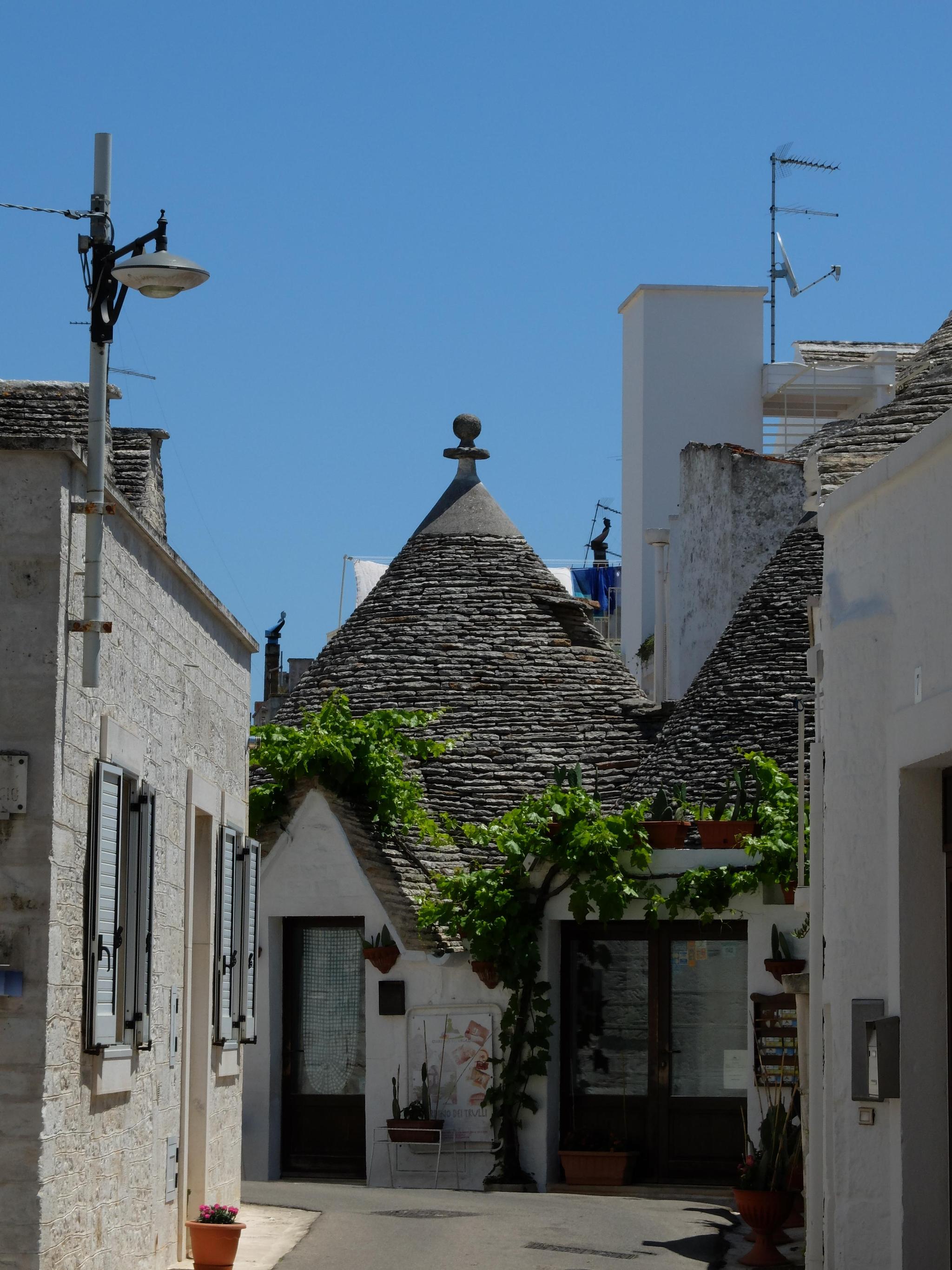 2026 Z Cultuur Puglia SINGLES - Intersoc