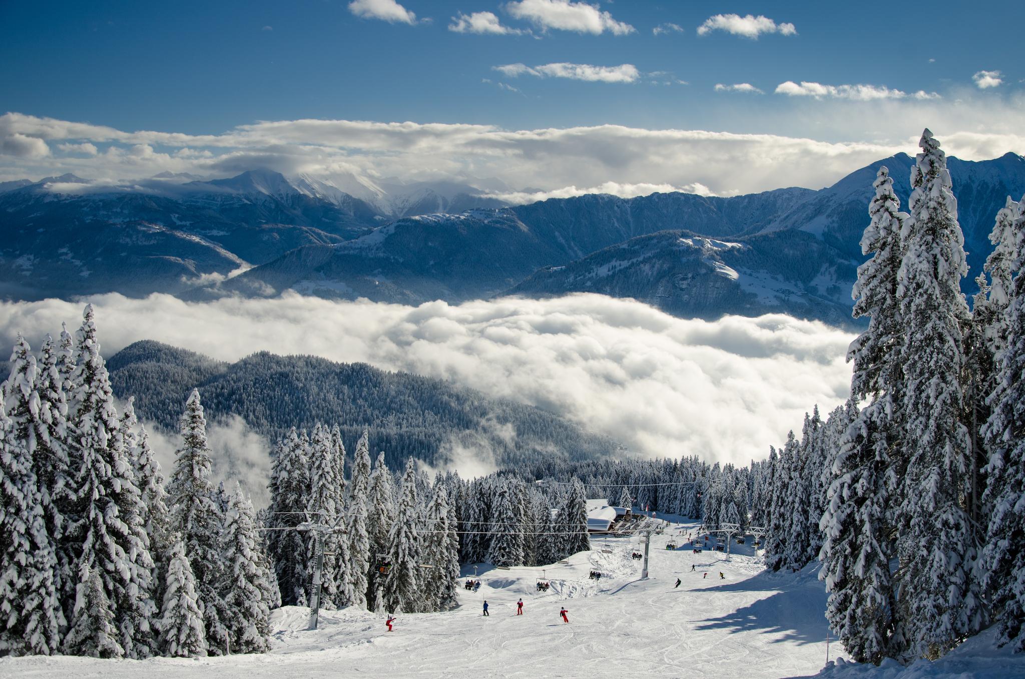 Intersoc zomervakanties