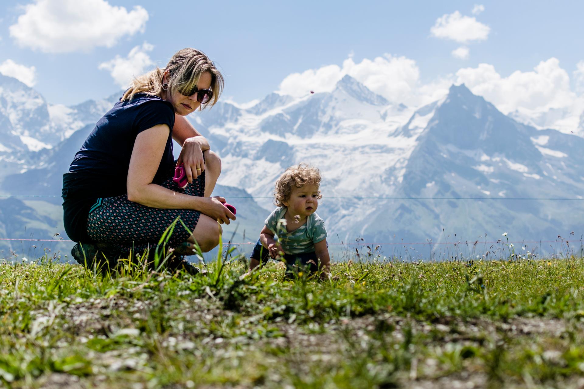 Intersoc Original - Intersoc