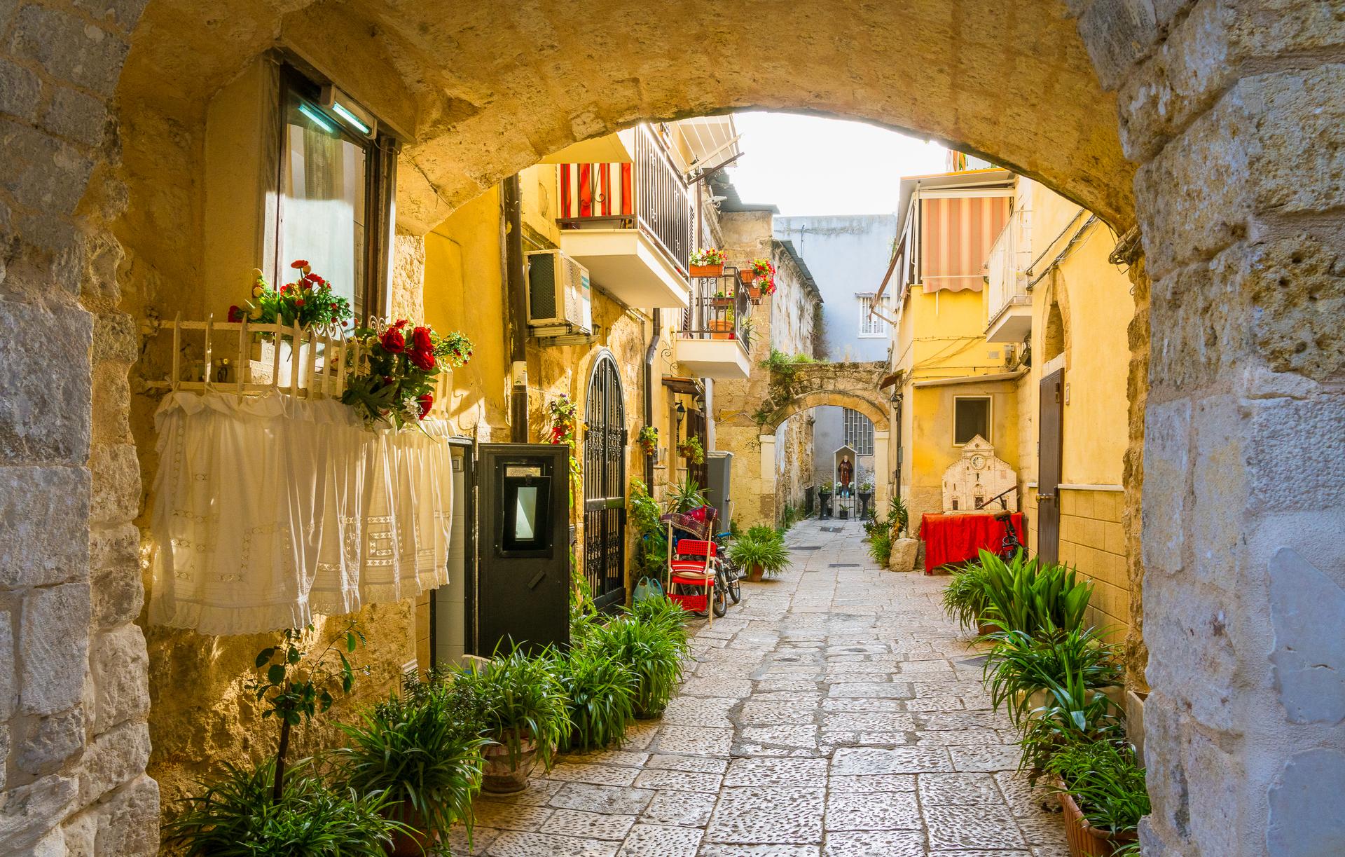 2026 Z Cultuur Puglia - Intersoc
