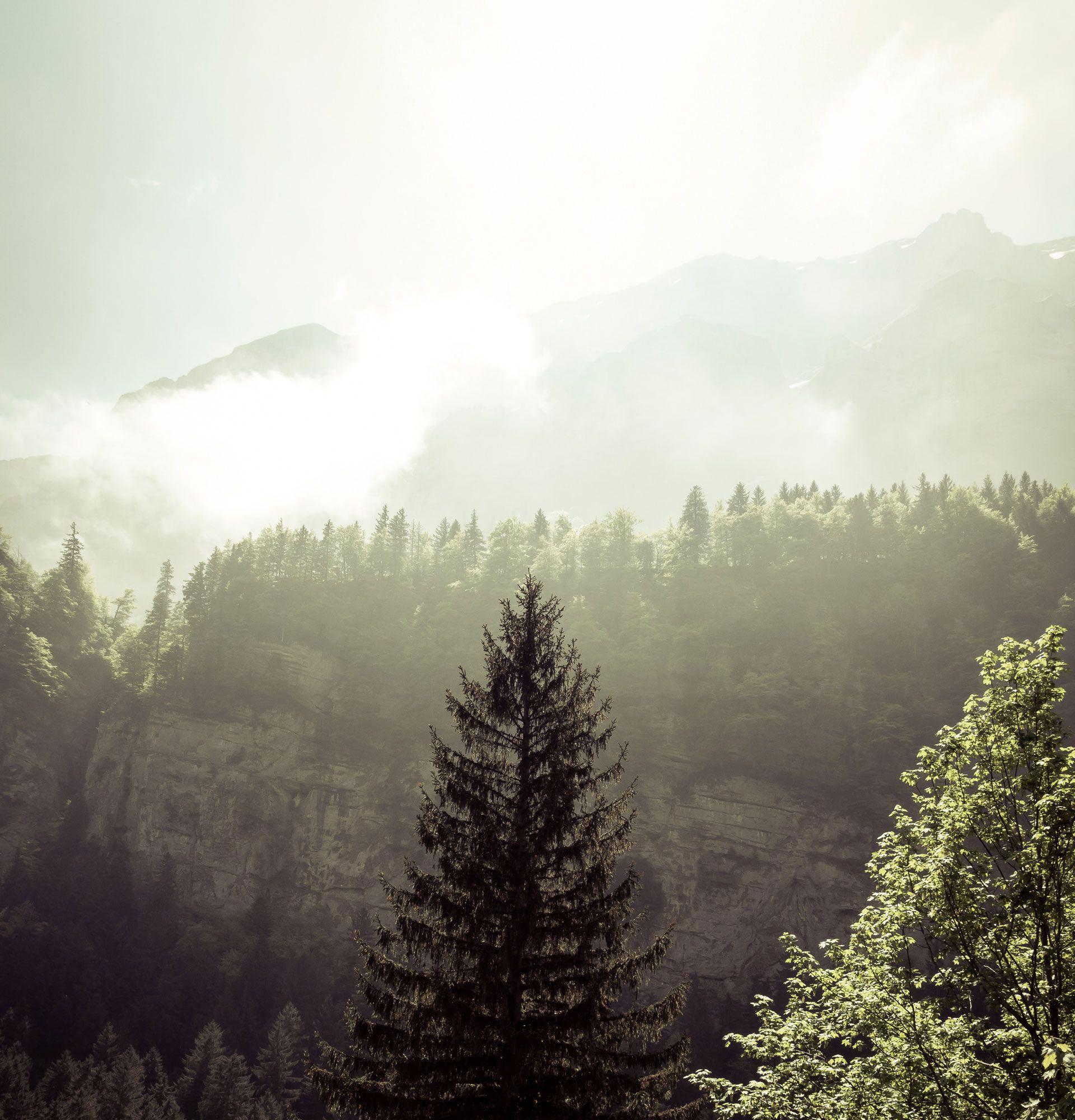 Verblijfsformules - Intersoc