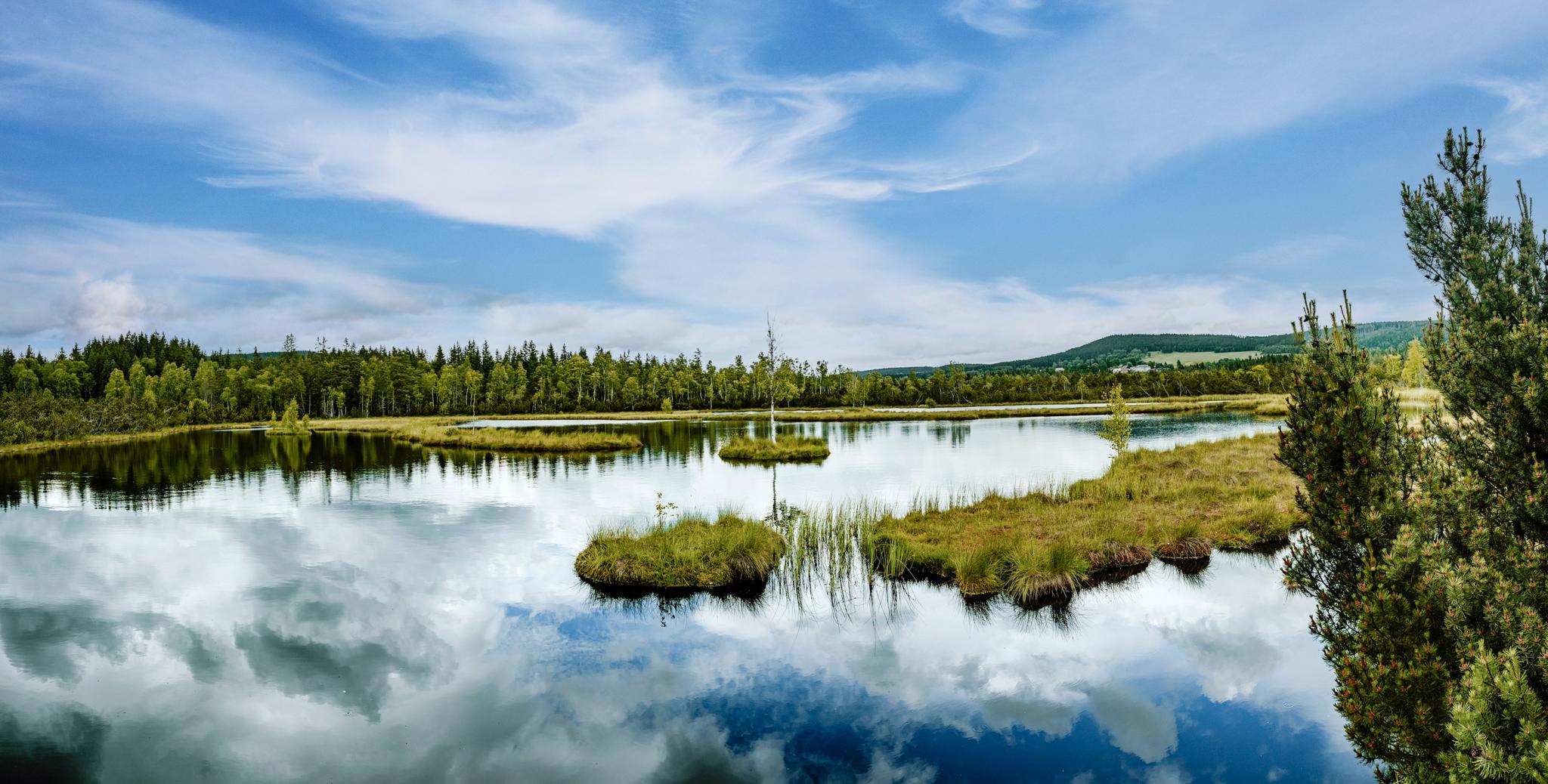 Bestemmingen - Intersoc