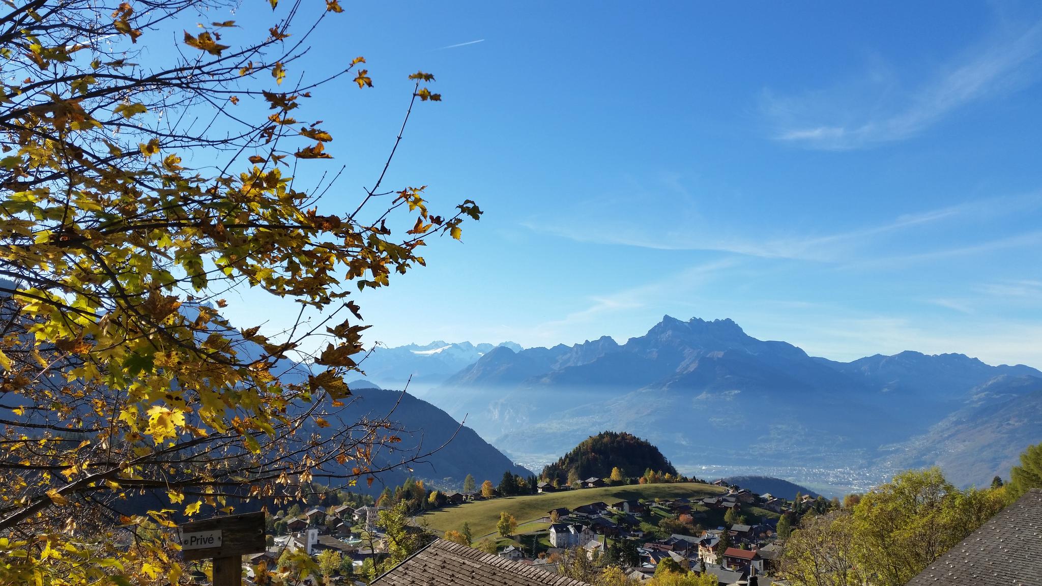 Bestemmingen - Intersoc