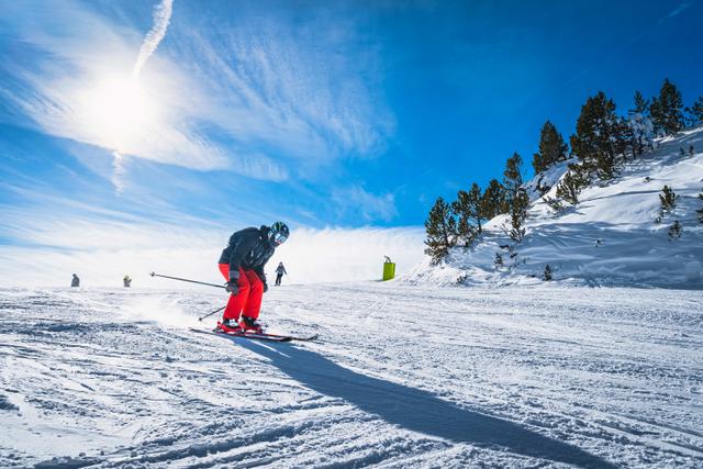 Flims Shortski - Intersoc
