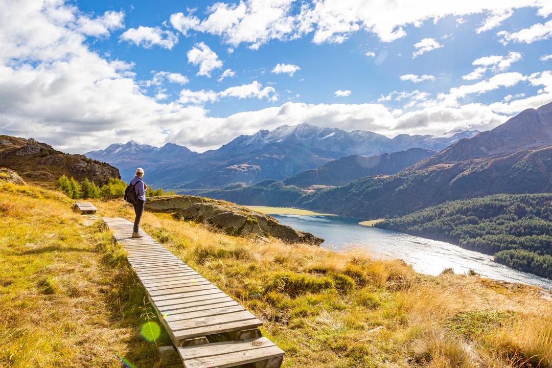 Intersoc Original - Intersoc