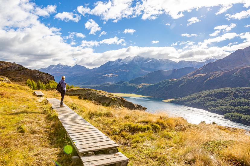 Intersoc Original - Intersoc