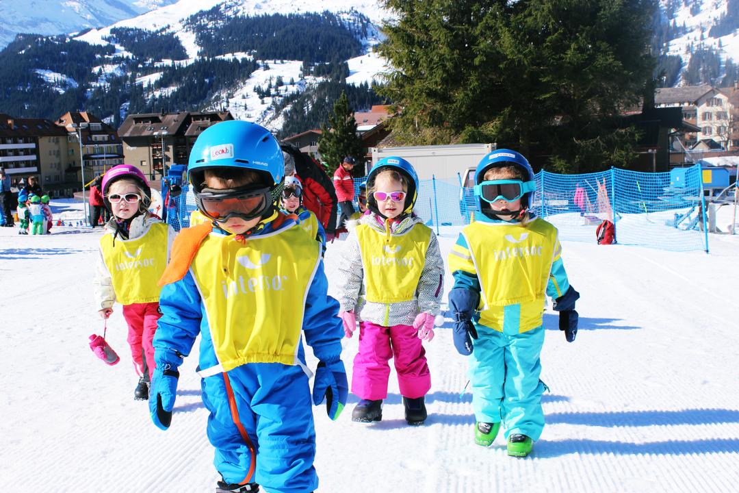 Intersoc Original - Intersoc