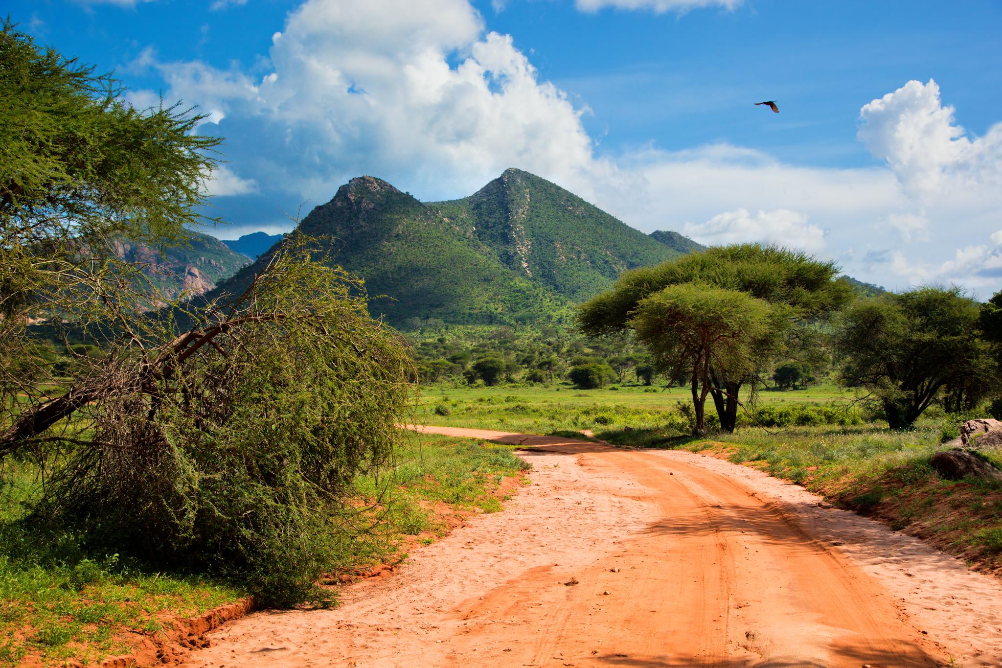 2026 Z Cultuur Kenia - Intersoc