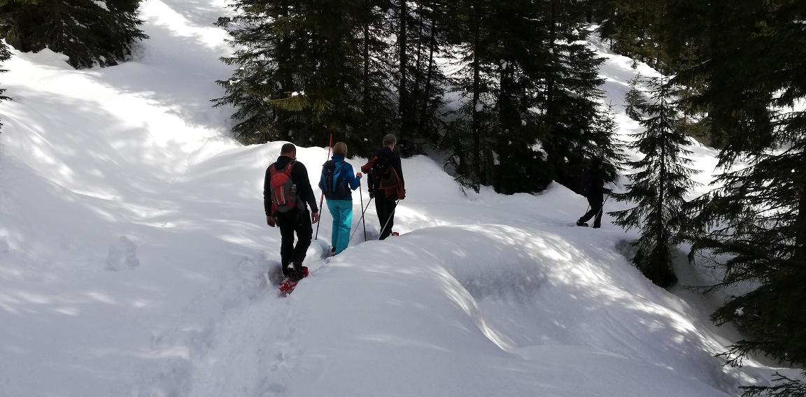 Plaun - Runcahöhe - Flims - Intersoc