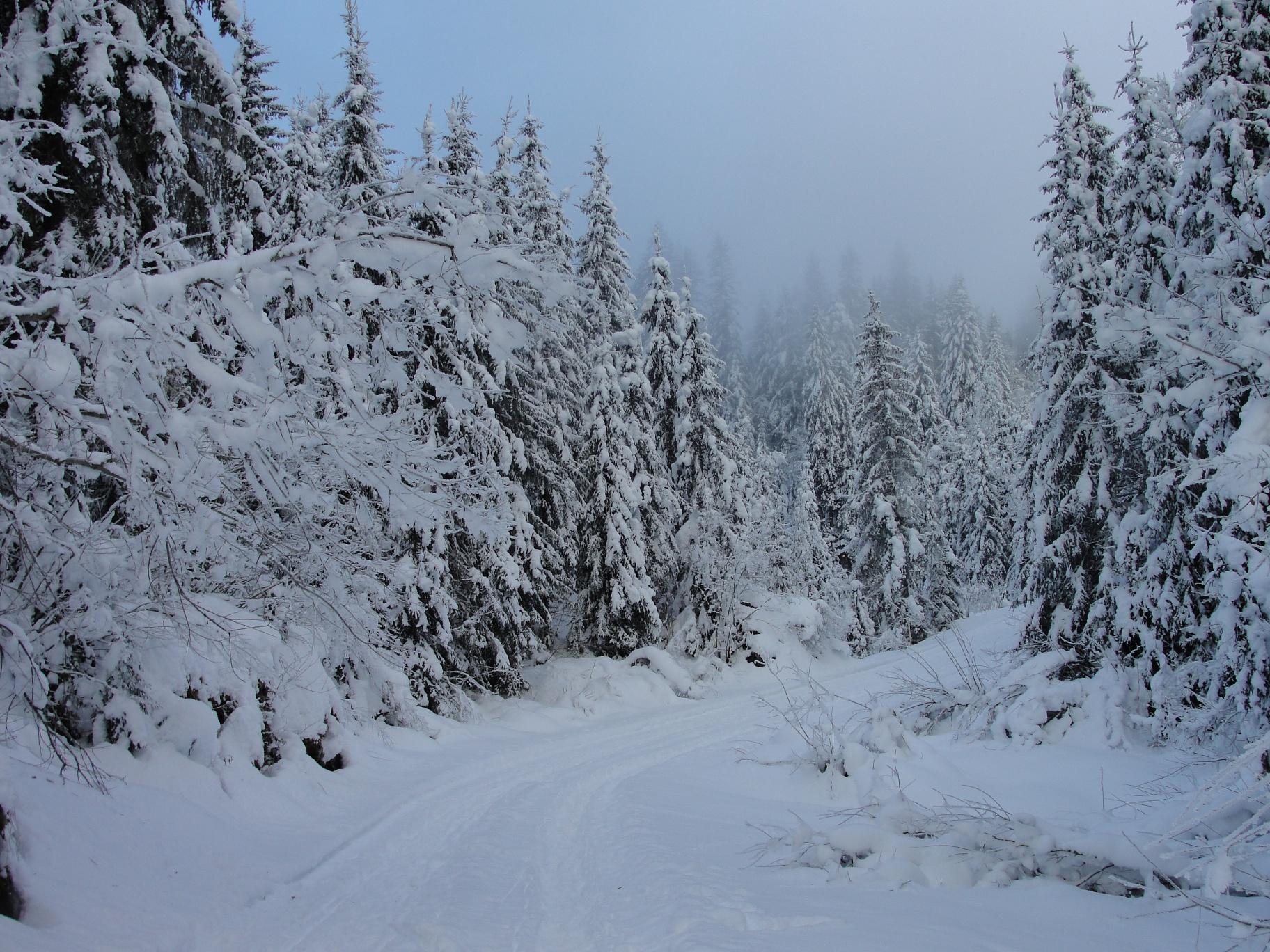 Flims Waldhaus - Laax -Falera - Laax - Flims Waldhaus - Intersoc